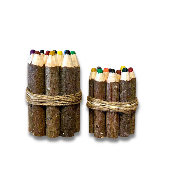 pine tree branch crayons - one little world